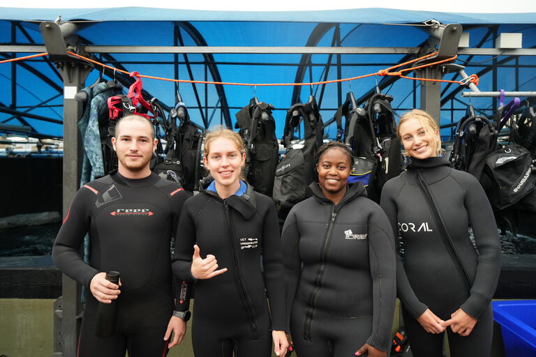 Two Oceans Aquarium | Diver24: UCT divers finish another Aquarium…