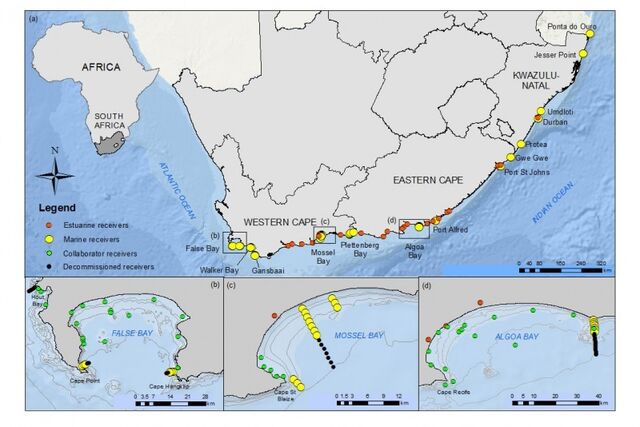 Two Oceans Aquarium | ATAP: All you need to know
