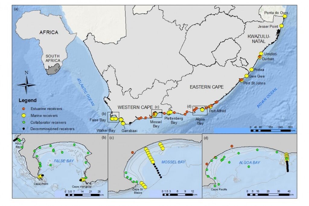 Two Oceans Aquarium | ATAP: All you need to know