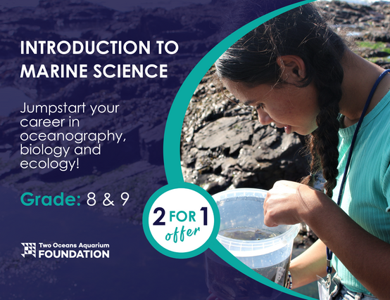 Two Oceans Aquarium | Take a dive into exciting ocean courses from…