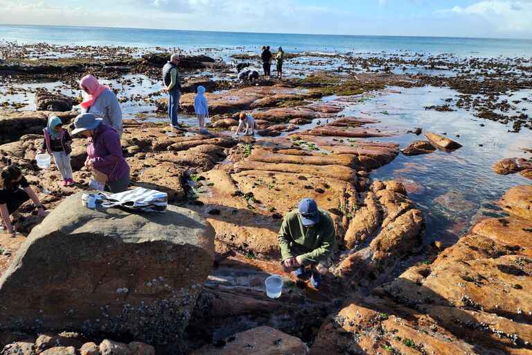 Two Oceans Aquarium | Time for a tidal pool treasure hunt!