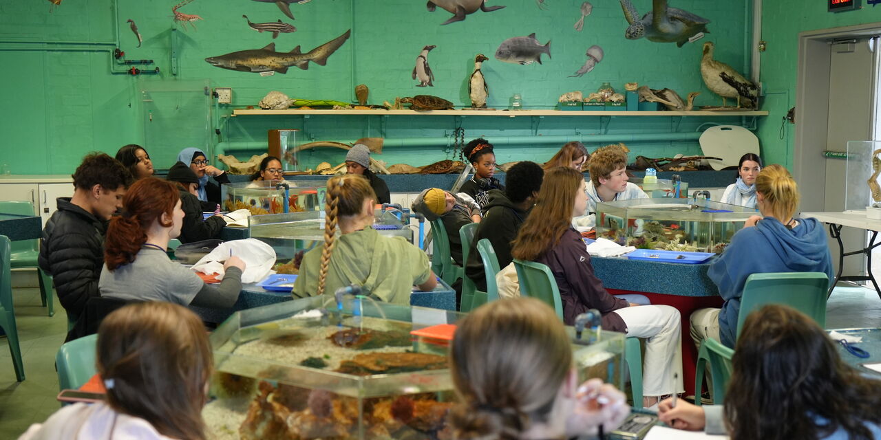 Two Oceans Aquarium Foundation | Ocean Campus Courses