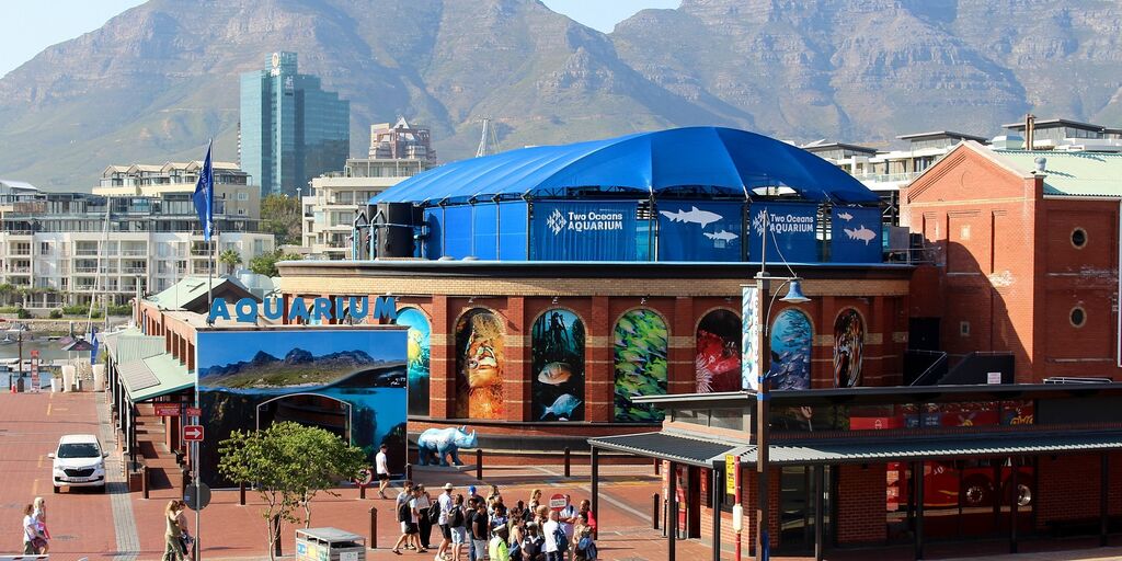 Two Oceans Aquarium | Visit us