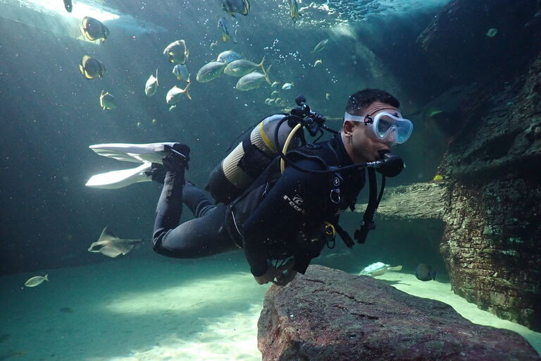 Two Oceans Aquarium | Buoyancy: animals vs divers