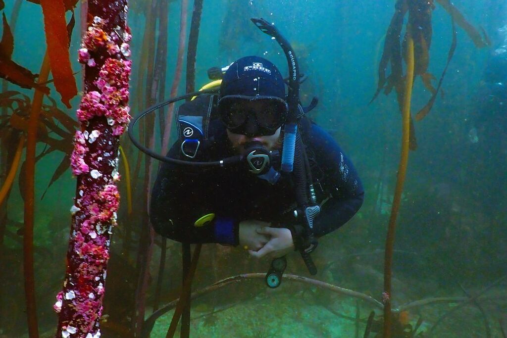 Two Oceans Aquarium | Buoyancy: animals vs divers