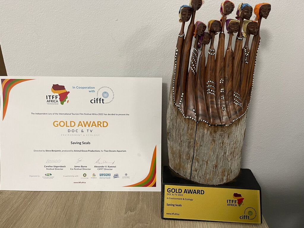 Two Oceans Aquarium | Award season for saving seals