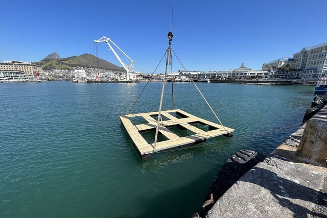 Two Oceans Aquarium | New and improved seal platform: Making seal…