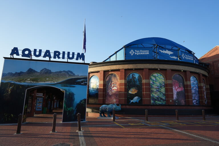 Two Oceans Aquarium | Welcome to the Two Oceans Aquarium
