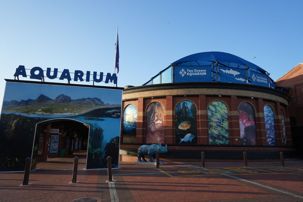 Two Oceans Aquarium | Welcome to the Two Oceans Aquarium