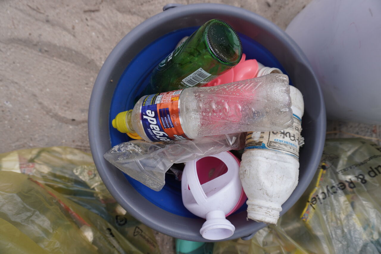Two Oceans Aquarium | A magical (and misty) first Trash Bash of 2024!