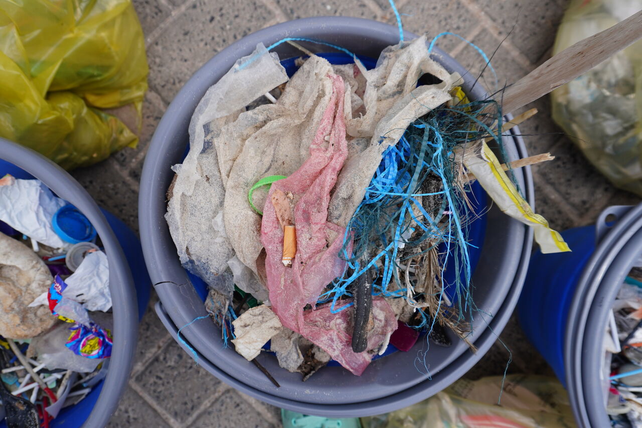 Two Oceans Aquarium | A magical (and misty) first Trash Bash of 2024!
