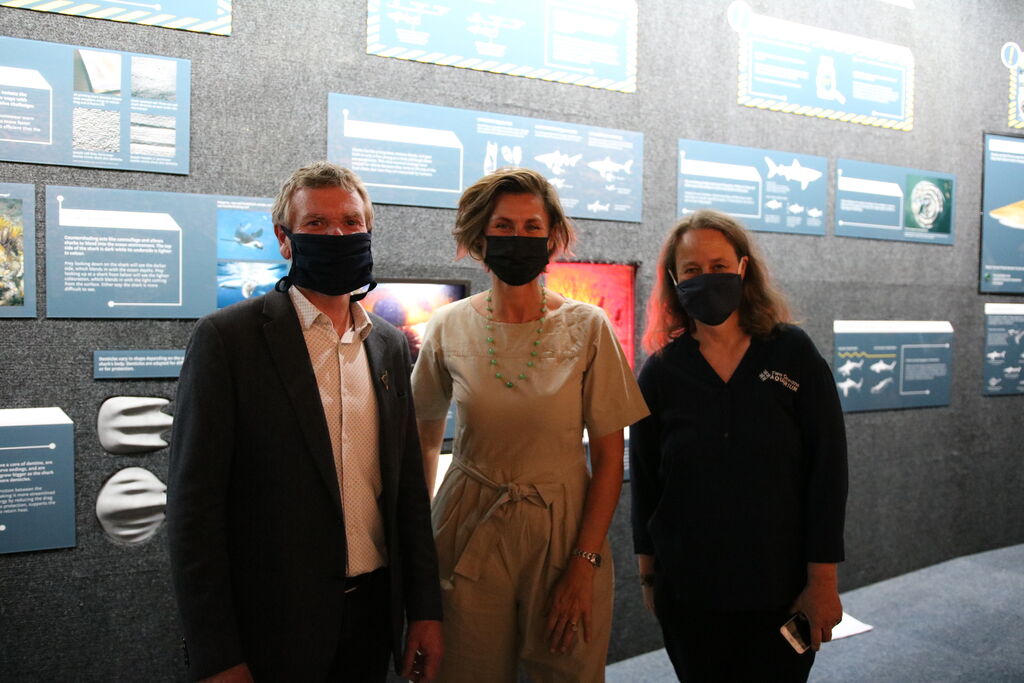 Two Oceans Aquarium | Shark alley: a brand new exhibit in partnership…
