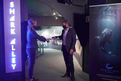 Two Oceans Aquarium | Shark alley: a brand new exhibit in partnership…