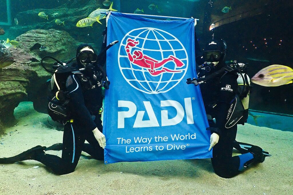 Two Oceans Aquarium | What do you learn during a padi scuba diver…