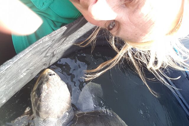 Two Oceans Aquarium | Meet tracy whitehead, the one incredible…