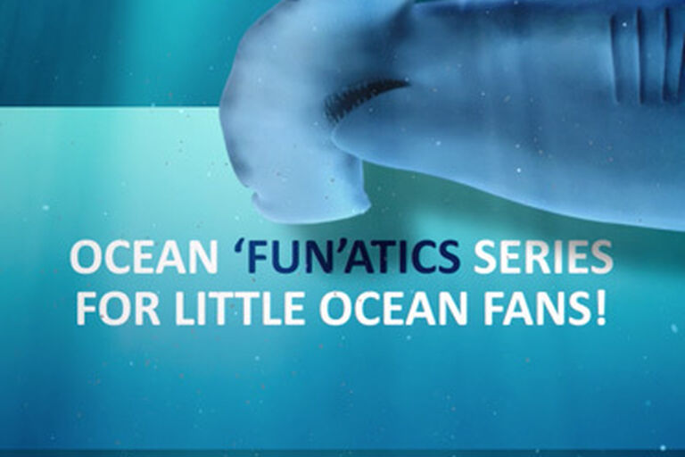 Two Oceans Aquarium | Ocean funatics online course for 6, 7 and 8…