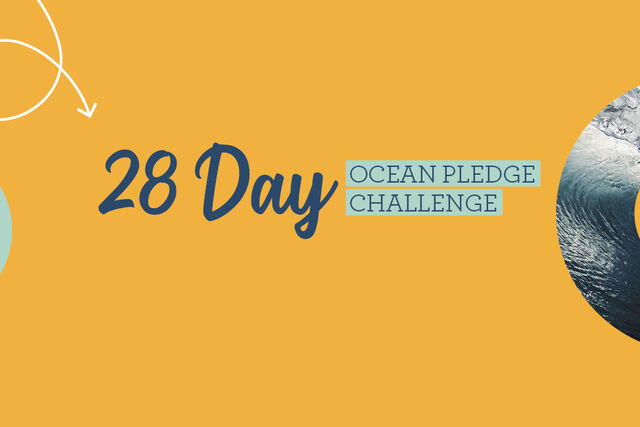 Two Oceans Aquarium | Take the 28 day challenge with ocean pledge and…