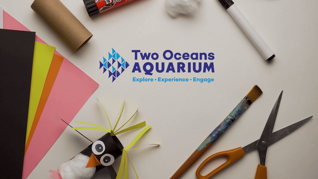 Two Oceans Aquarium | Make a rockhopper penguin at home - craft for…