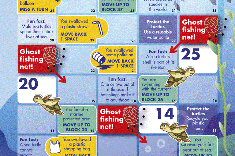 Two Oceans Aquarium | Turtle adventure: celebrate the amazing…