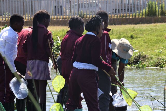 Two Oceans Aquarium | Wetlands week 2020: exploring a local wetland
