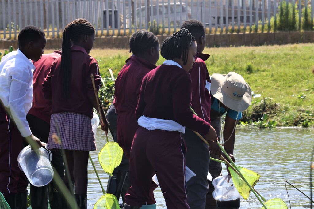 Two Oceans Aquarium | Wetlands week 2020: exploring a local wetland