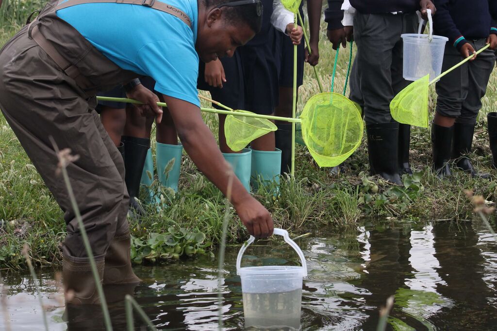Two Oceans Aquarium | Wetlands week 2020: exploring a local wetland