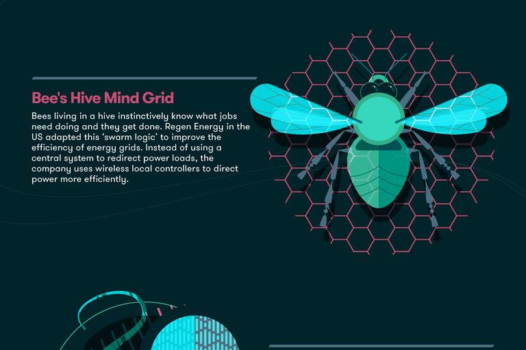 Two Oceans Aquarium | Biomimicry: technologies inspired by nature