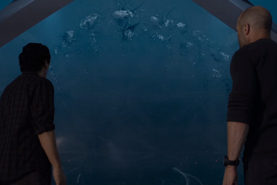 Two Oceans Aquarium | Megalodon: the real facts about the largest…