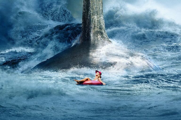 Two Oceans Aquarium | Megalodon: the real facts about the largest…