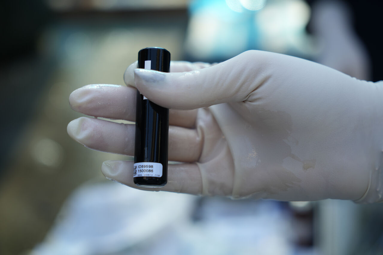 Two Oceans Aquarium | The Two Oceans Aquarium released four spotted…