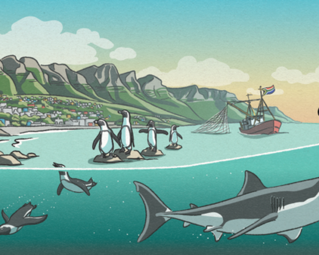 Two Oceans Aquarium Foundation | Blog