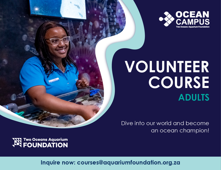 Two Oceans Aquarium Foundation | Adult Volunteer Course