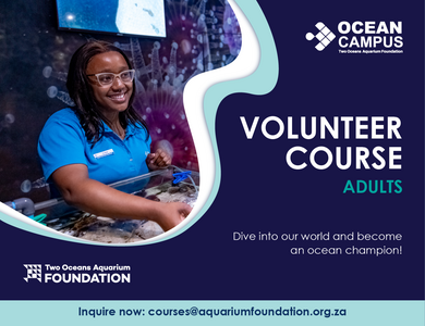 Two Oceans Aquarium Foundation | Adult Volunteer Course
