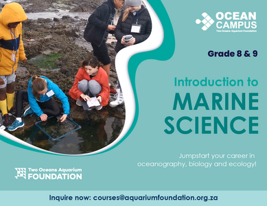 Two Oceans Aquarium Foundation | Grade 8 & 9 Introduction to Marine…