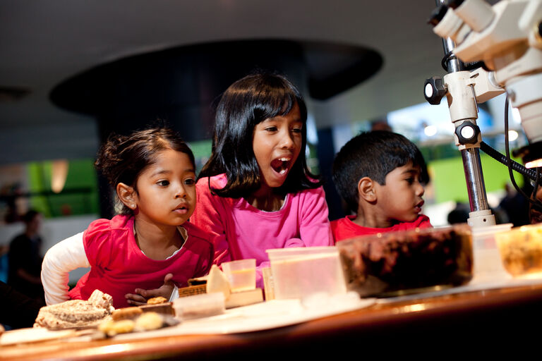 Two Oceans Aquarium Foundation | Classes at the Aquarium