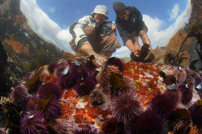 Two Oceans Aquarium Foundation | Learn how to protect our blue planet…