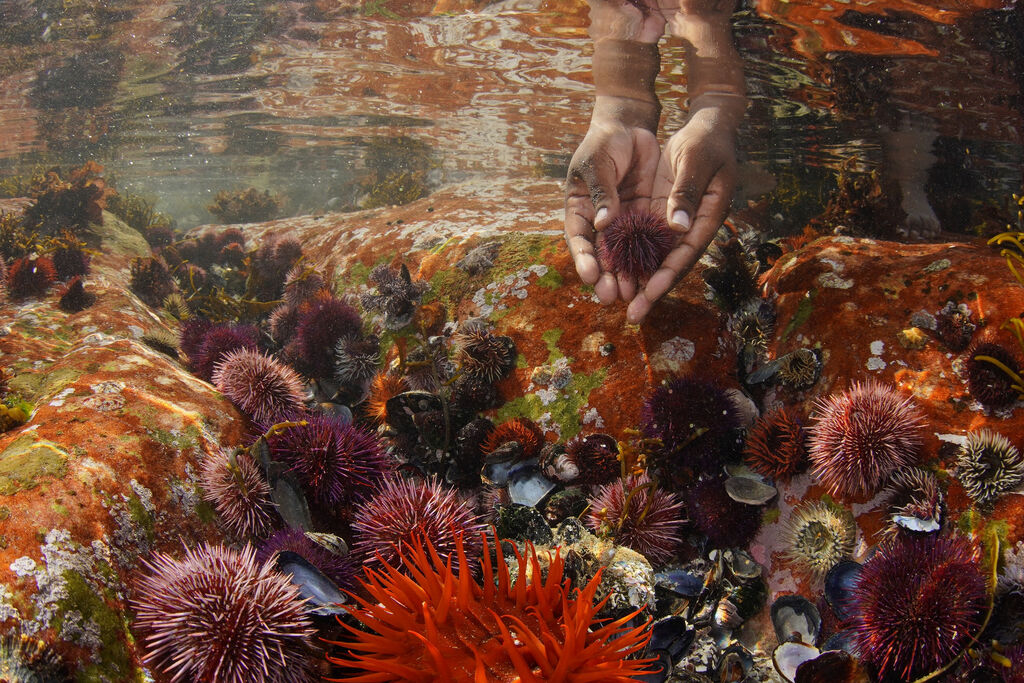 Two Oceans Aquarium Foundation | Learn how to protect our blue planet…