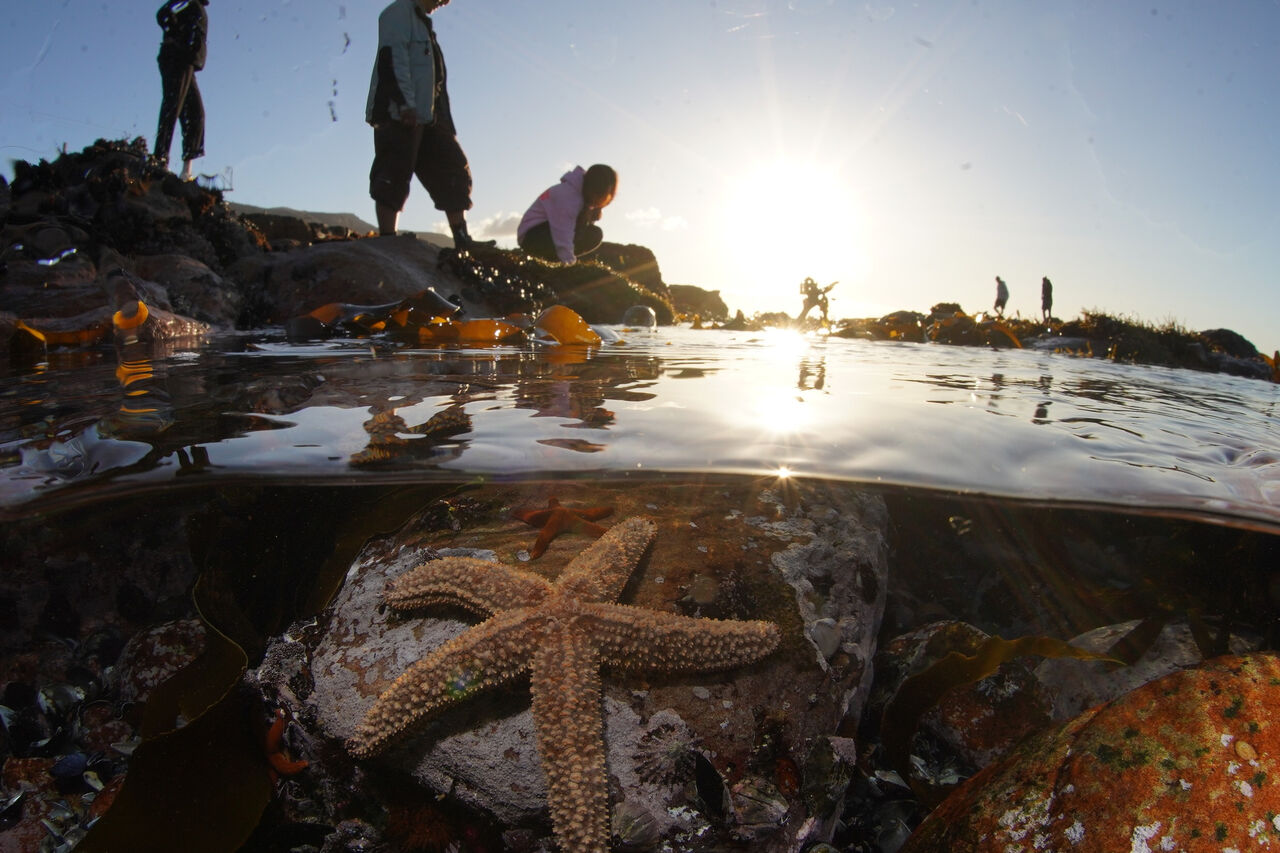 Two Oceans Aquarium Foundation | Learn how to protect our blue planet…