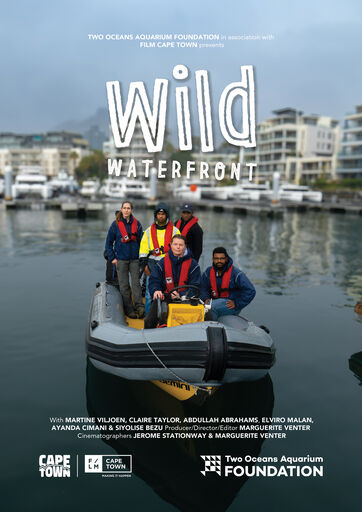 Two Oceans Aquarium | "Wild Waterfront": The remarkable tale of our…