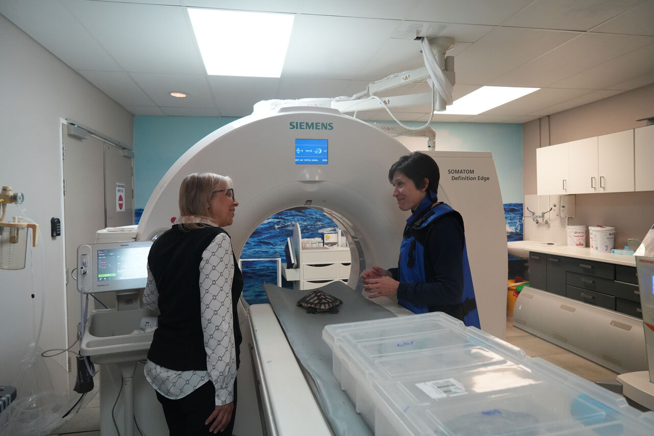 Two Oceans Aquarium | Scan you believe it? The value of CT and MRI…