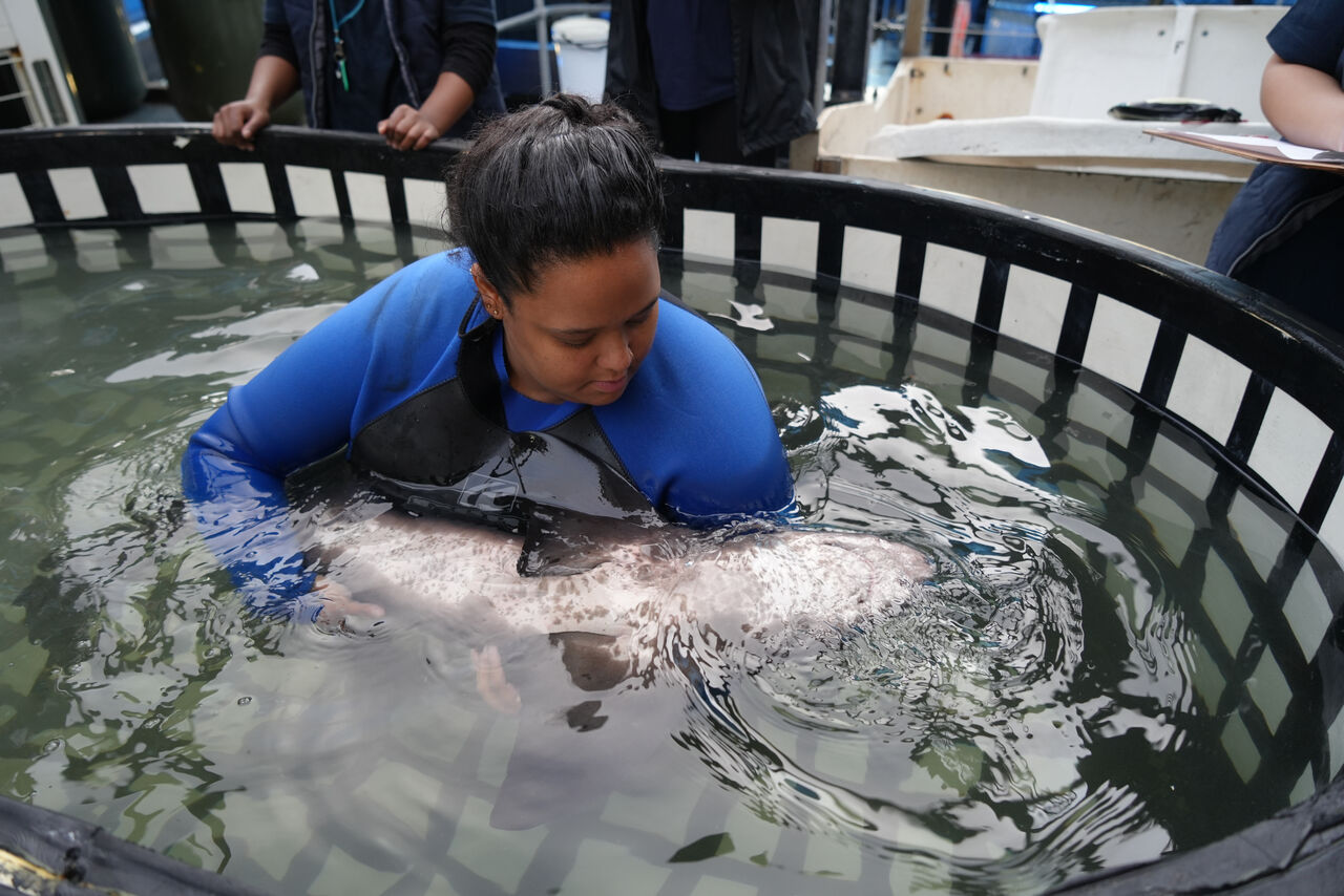 Two Oceans Aquarium | Exploring ocean careers at the Two Oceans…