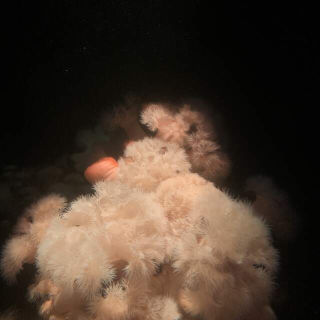 Two Oceans Aquarium | Microscope Exhibit