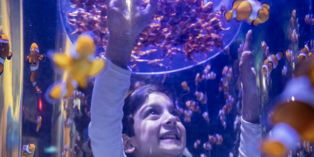 Two Oceans Aquarium | Aquarium map