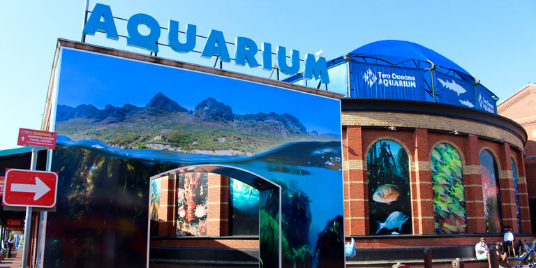 Two Oceans Aquarium | About us