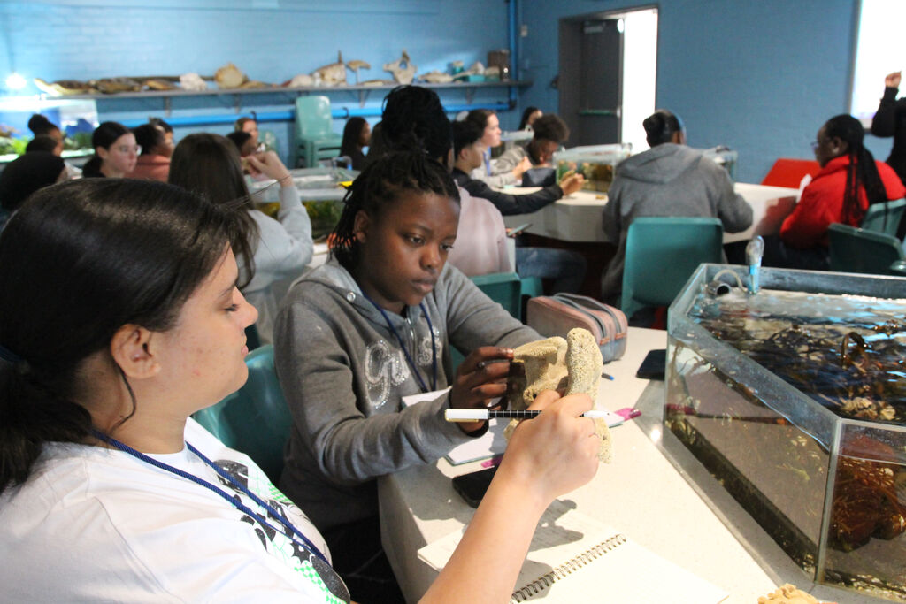 Two Oceans Aquarium | Dive into discovery: The Young Biologist Course…