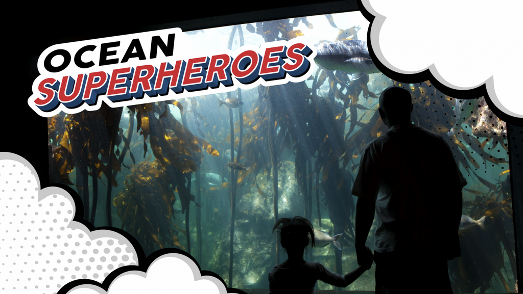 Two Oceans Aquarium | What is kelp? everything you need to know about…