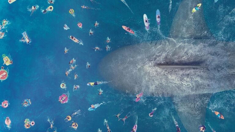 Two Oceans Aquarium | Megalodon: the real facts about the largest…