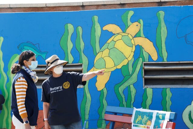 Two Oceans Aquarium | Bob the turtle features on new mural at…