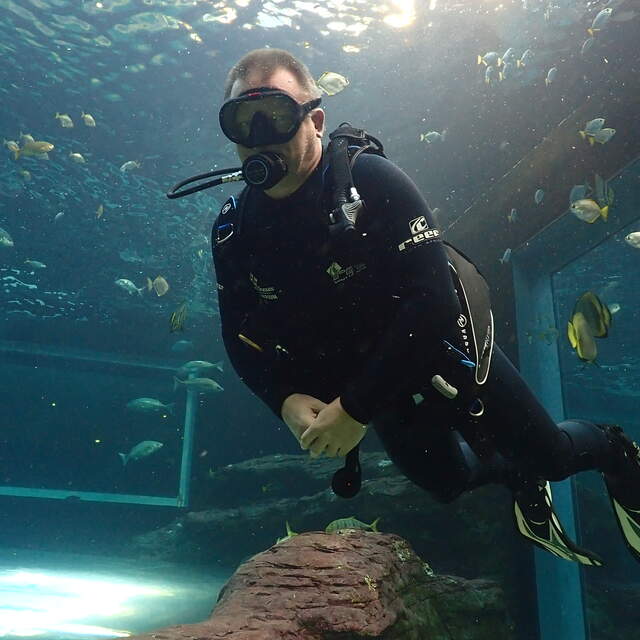 Two Oceans Aquarium | Ocean Exhibit