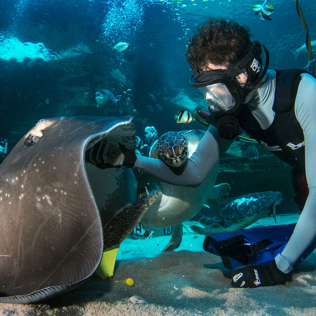 Two Oceans Aquarium | Ocean Exhibit